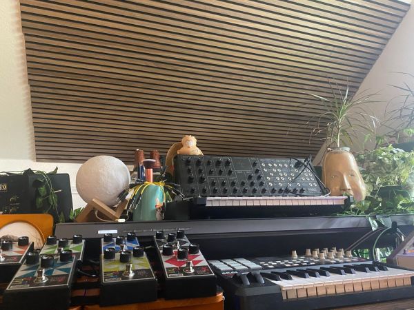 How To Install Wood Veneer Hub's Acoustic Paneling: We Asked The ...