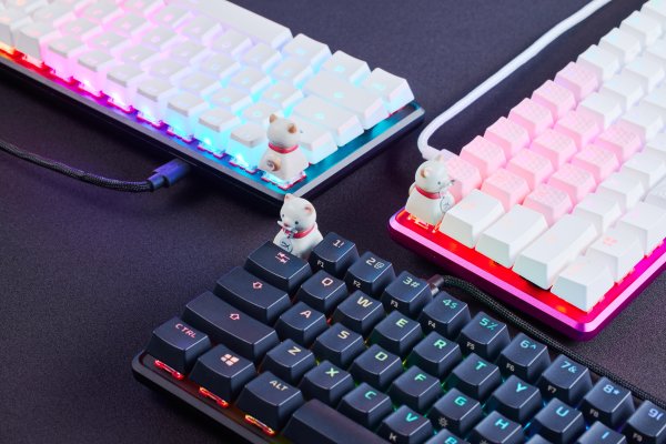 HyperX x Valkyrae Limited Edition Keycap - Mika the Shiba: A Must-Have ...