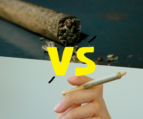 Blunts vs Joints: Everything You Need To Know About Cannabis Roll Ups